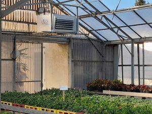 Aérotherme gaz : le meilleur choix pour vos serres de ventes - Caldor